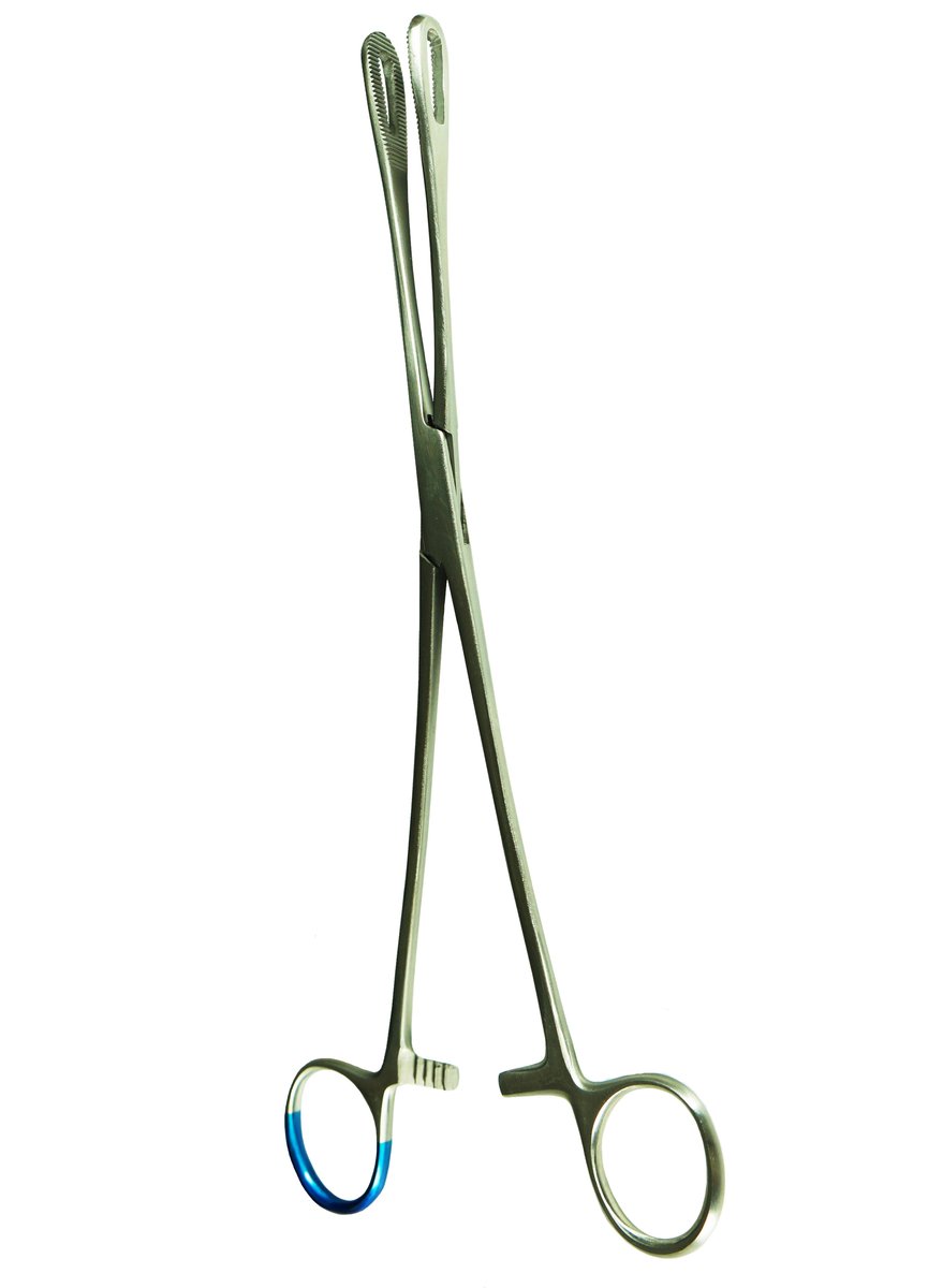 Rampley Sterile Sponge Holding Forcep 25cm. Sterile Pack of One ...